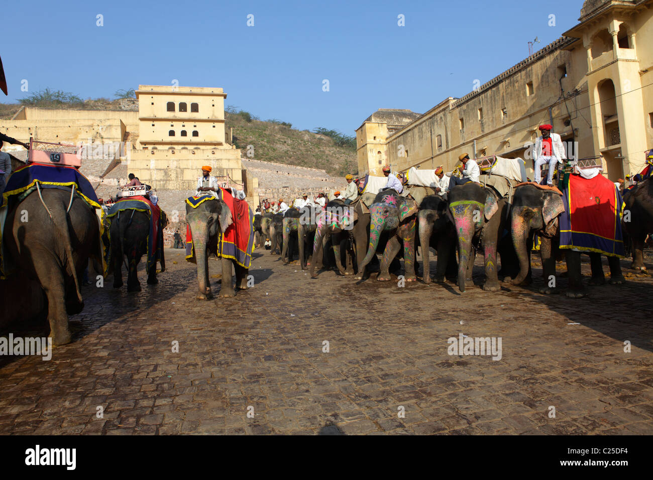 Elephant service to ride up to Amber Fort, Jaipur, India Stock Photo ...