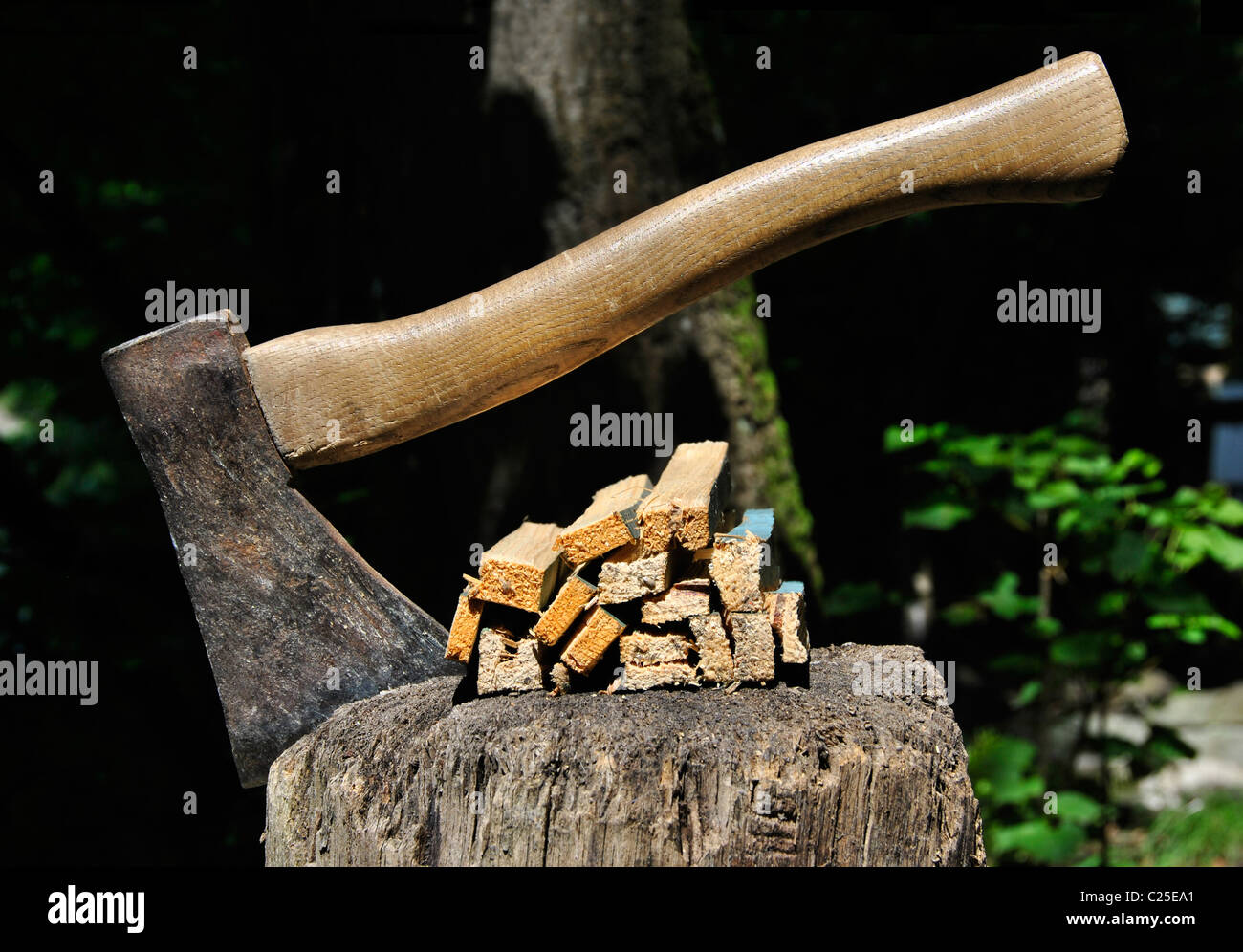 Old Axe stuck in a chopping block and splinters of wood with natural ...