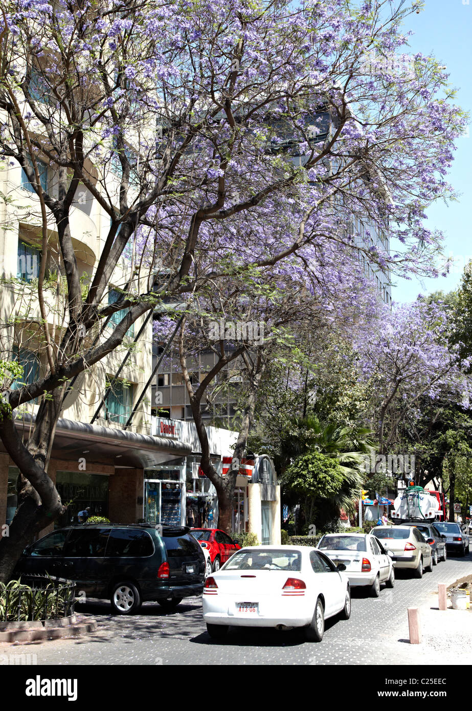 Suburban culture hi-res stock photography and images - Alamy