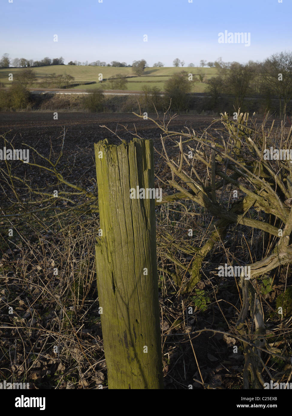 hedge fields post winter farm Stock Photo - Alamy