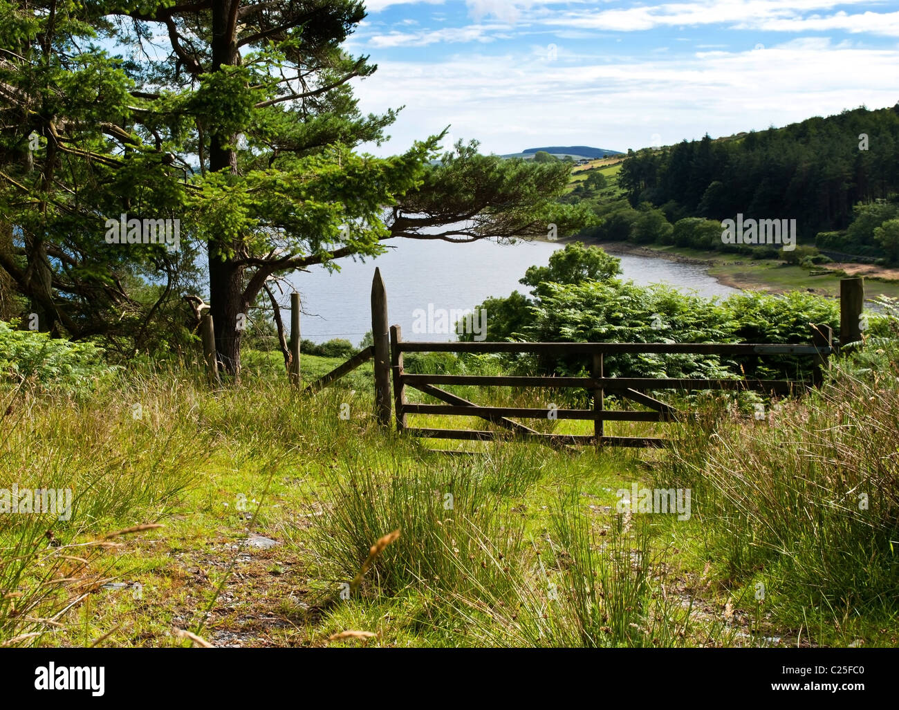 Forrest track with a wooden gate overlooking beautiful lake with blue ...