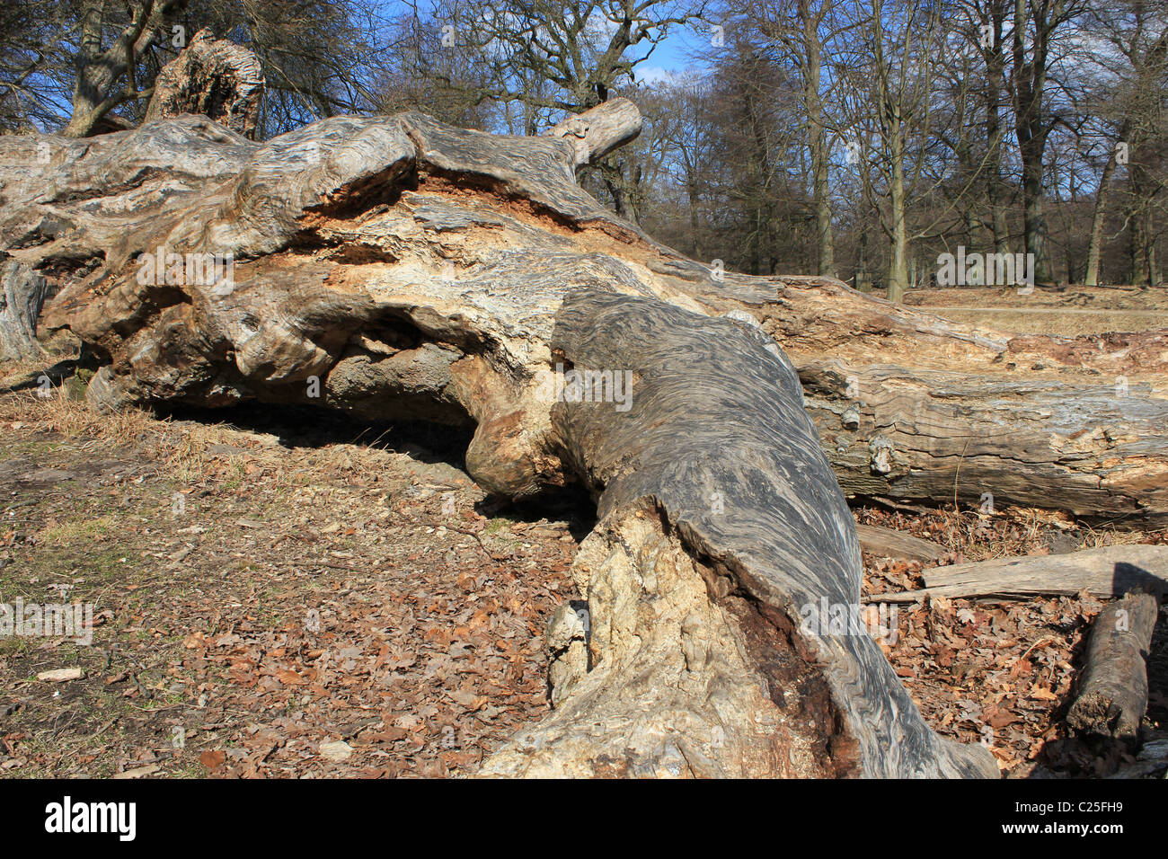 Rotten in denmark hi-res stock photography and images - Alamy