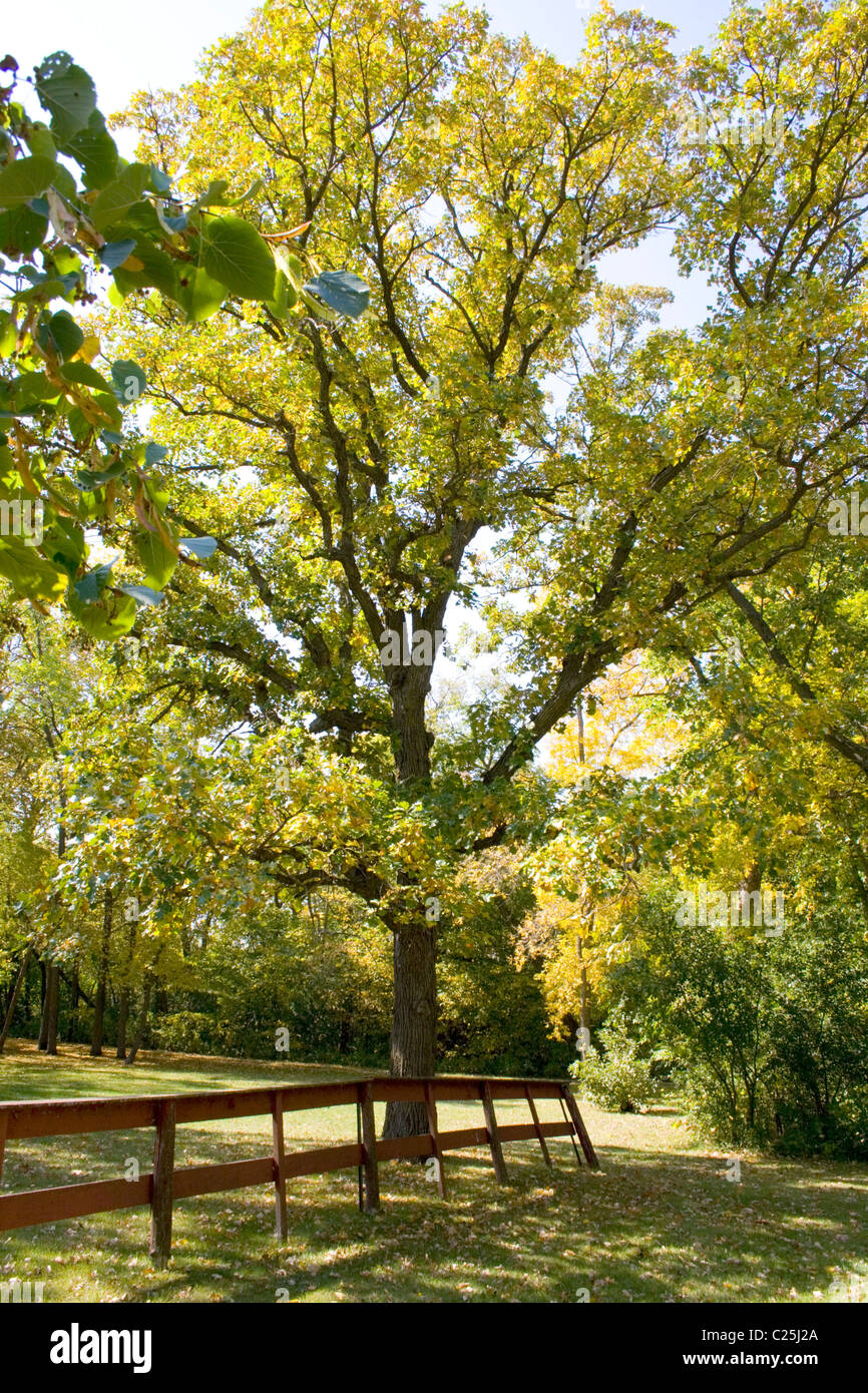 Scenic landscape of field bordered with a wooden fence. Clitherall ...