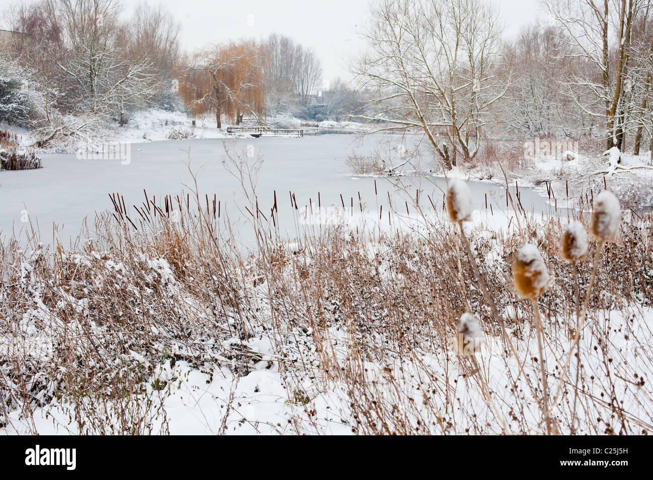 Snowy view across a frozen lake in winter Stock Photo - Alamy
