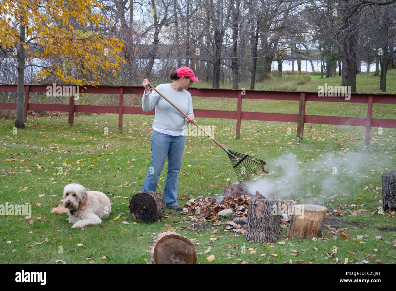 Woman age 39 burning leaves with her Goldendoodle dog Gunner ...