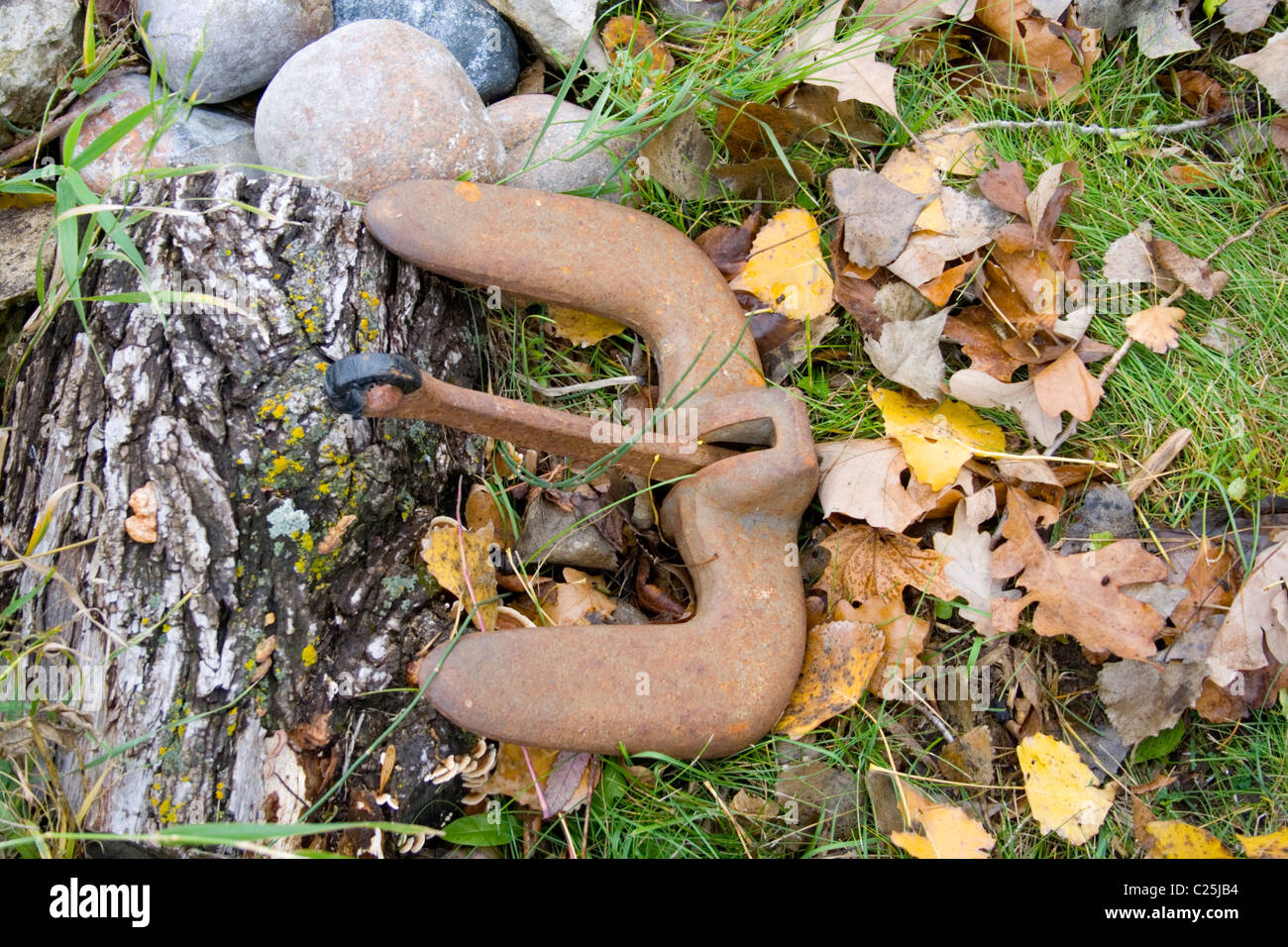 Heavy duty boat anchor lying in grass and autumn leaves. Clitherall ...