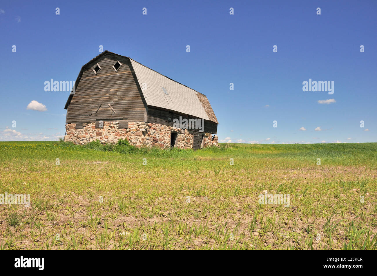 Abandoned Barn in Field Stock Photo - Alamy