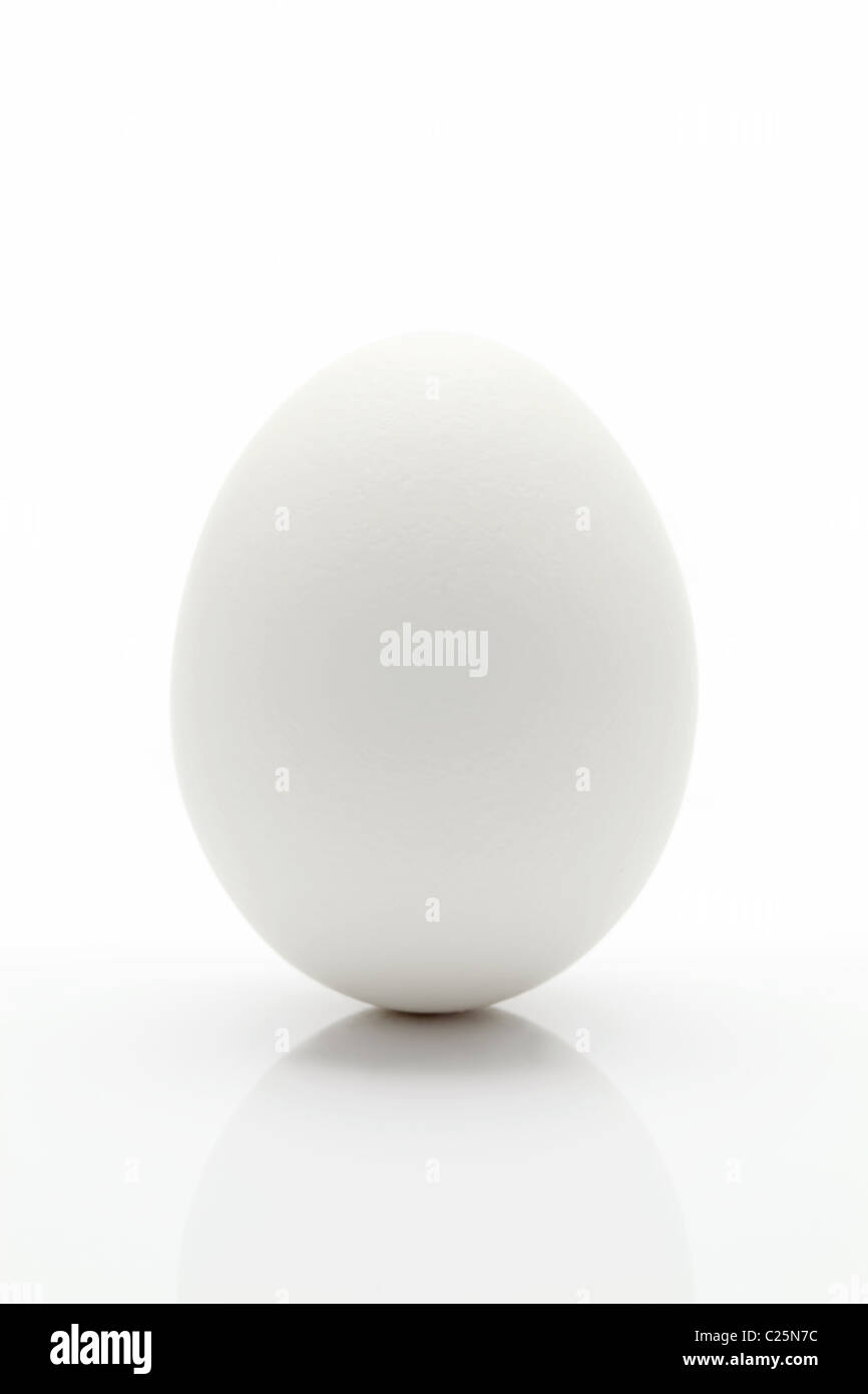 Egg isolated on white background Stock Photo - Alamy