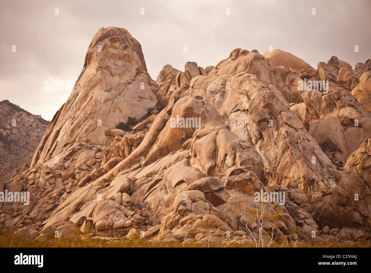Rock formations in the Mojave Desert in the Mojave National Preserve ...