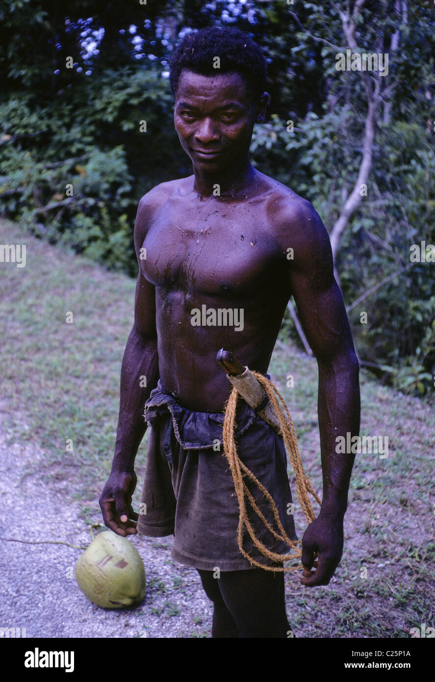 Zanzibar, Tanzania. Coconut Picker Stock Photo - Alamy