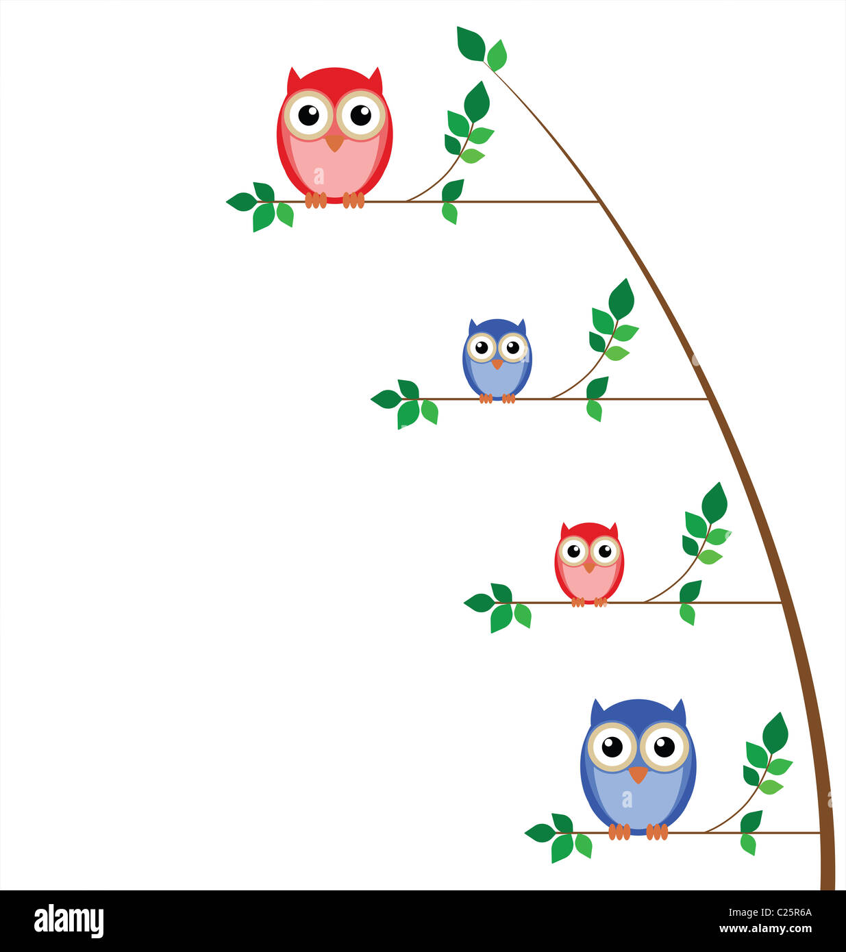 Owl family tree isolated on white background Stock Photo - Alamy