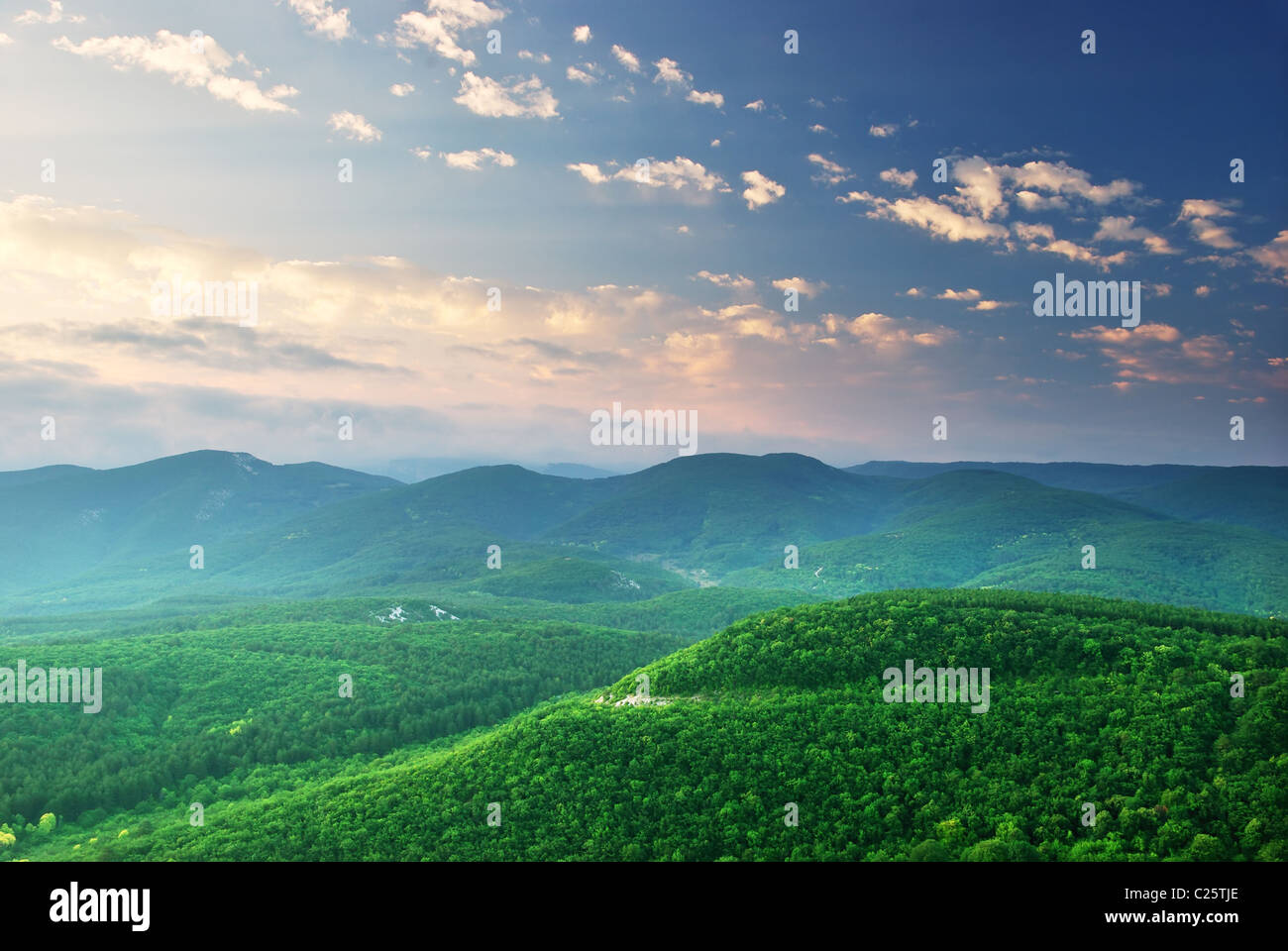 Landscape green forest meadow mountains hi-res stock photography and ...