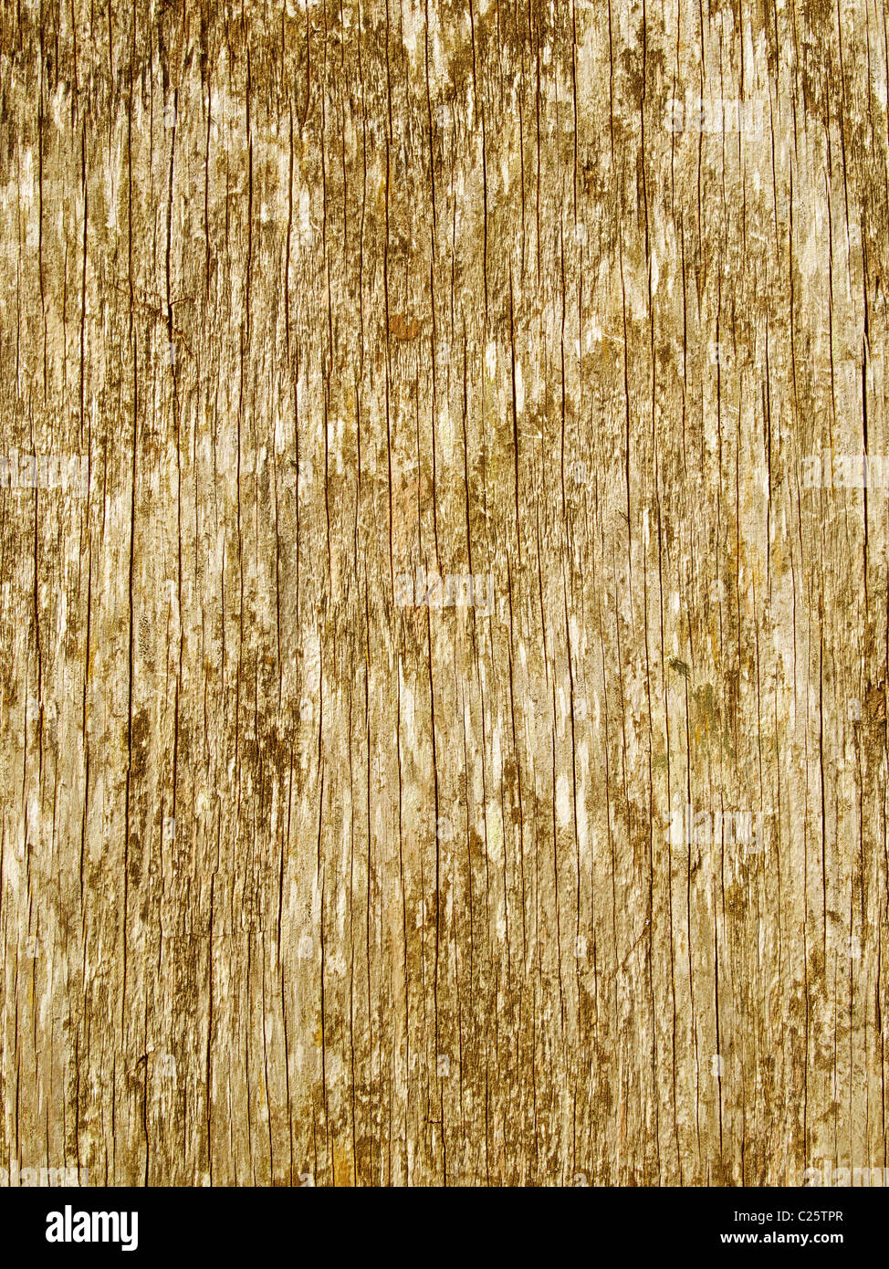 Rough wood texture close up Stock Photo - Alamy