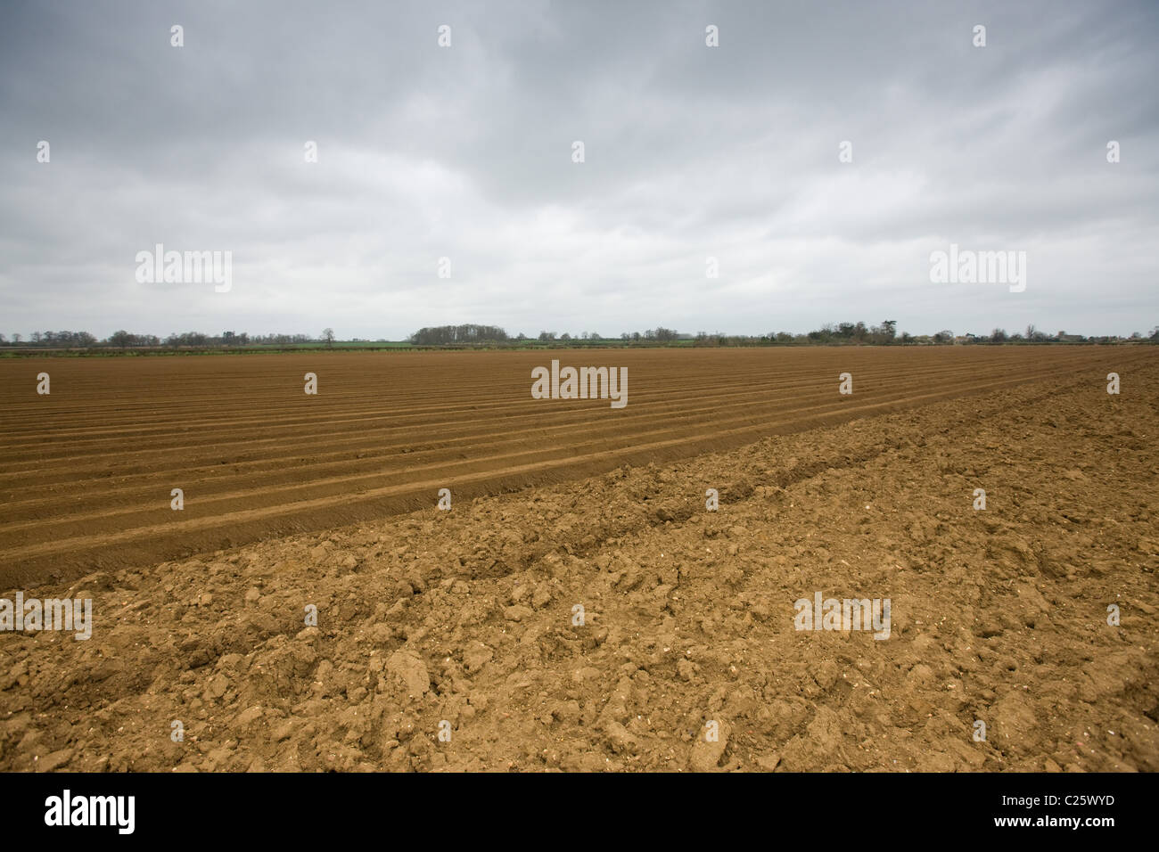 Potato field ridges hi-res stock photography and images - Alamy