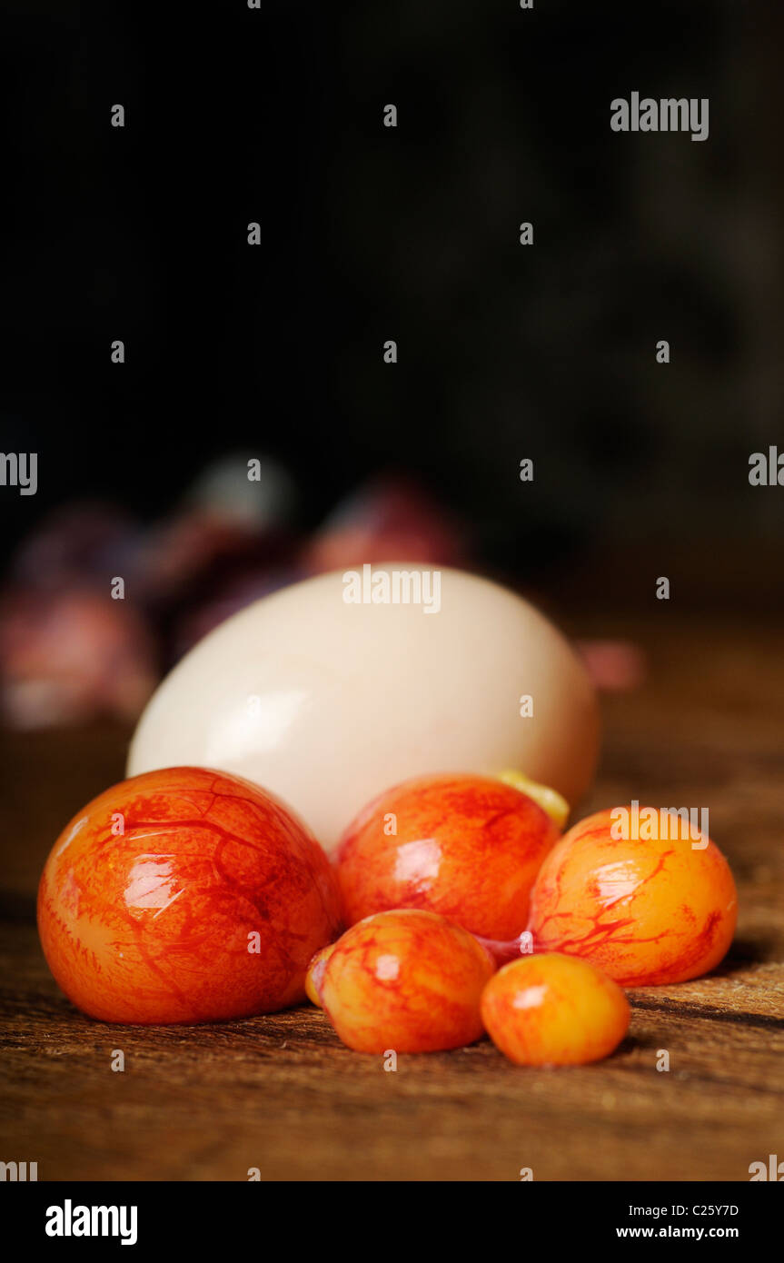 Egg development stages hi-res stock photography and images - Alamy