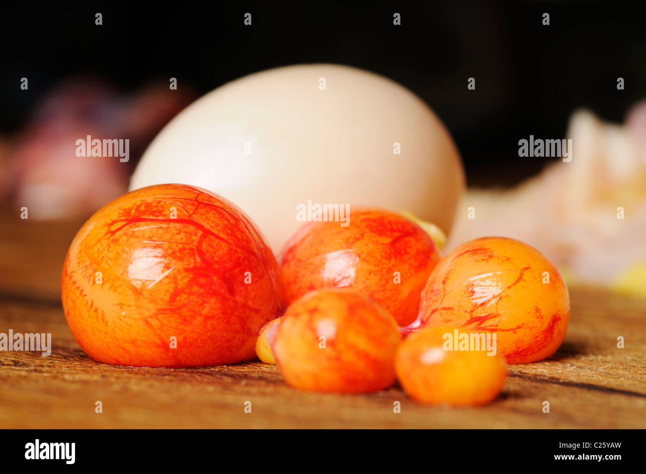 Egg development stages hi-res stock photography and images - Alamy