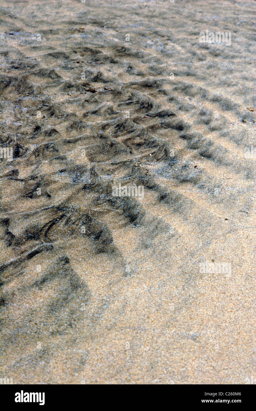 Sand patterns on beach Stock Photo - Alamy