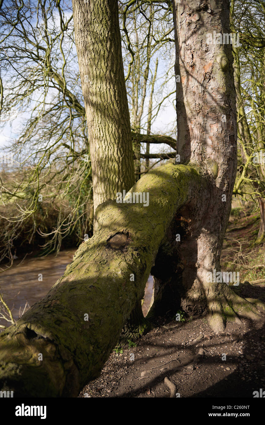 arrow valley country park redditch worcestershire Stock Photo - Alamy