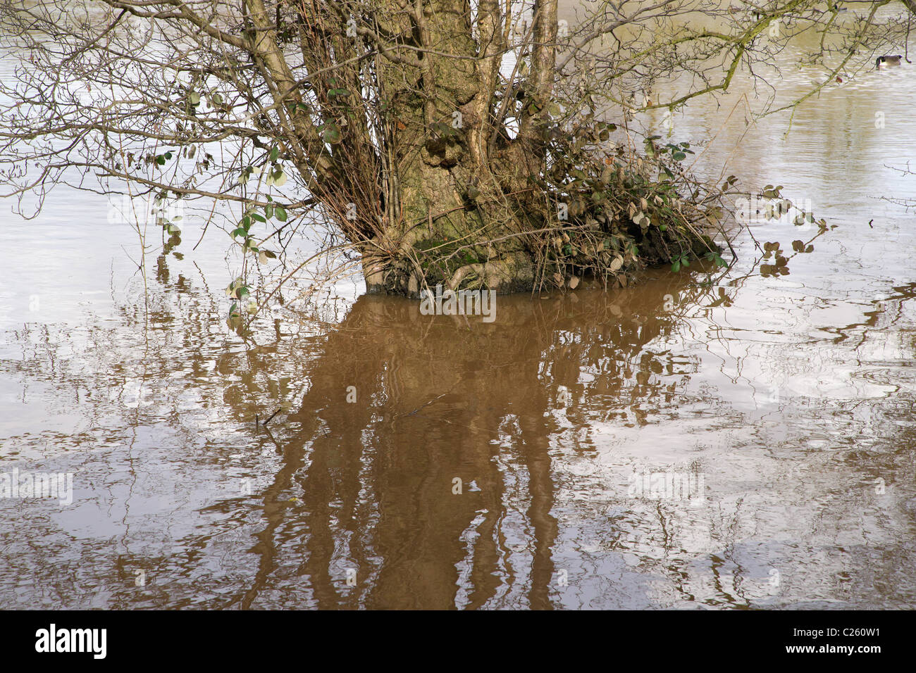 arrow valley country park redditch worcestershire Stock Photo - Alamy