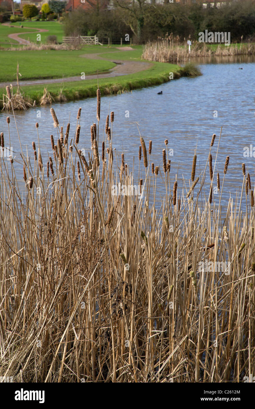 river arrow valley country park redditch Stock Photo - Alamy