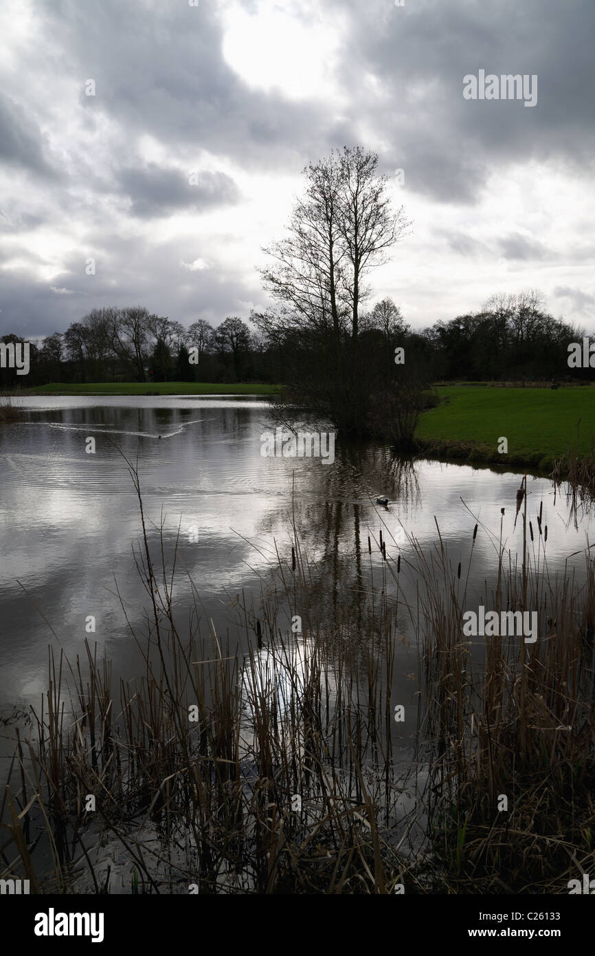 arrow valley country park redditch worcestershire Stock Photo - Alamy