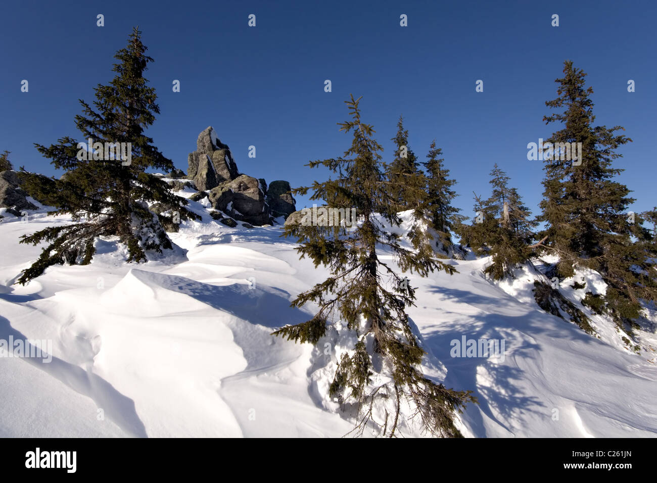 Winter snowy landscape.Wild nature in Russia. National park Taganay ...