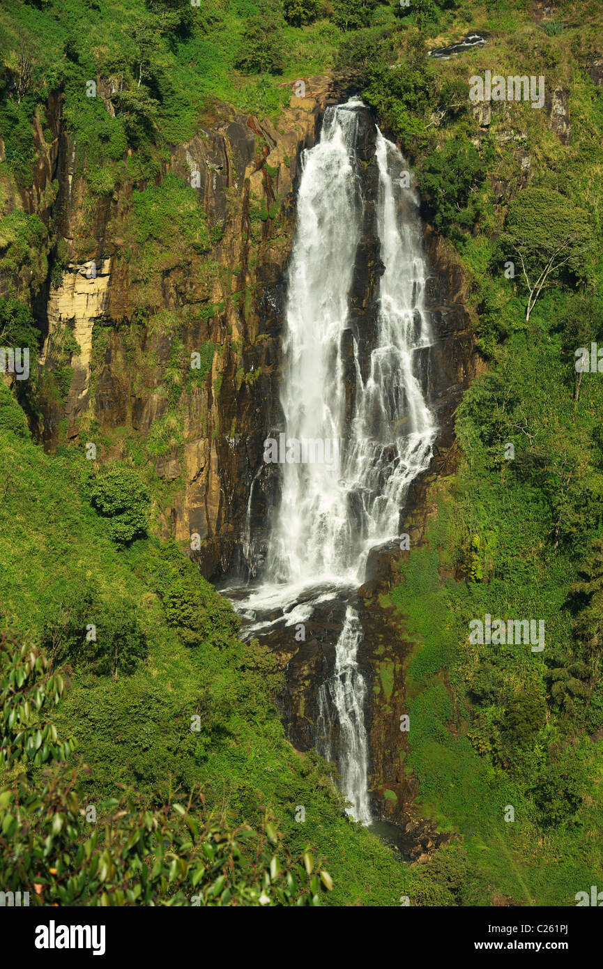 Dewon Falls Sri Lanka Stock Photo - Alamy
