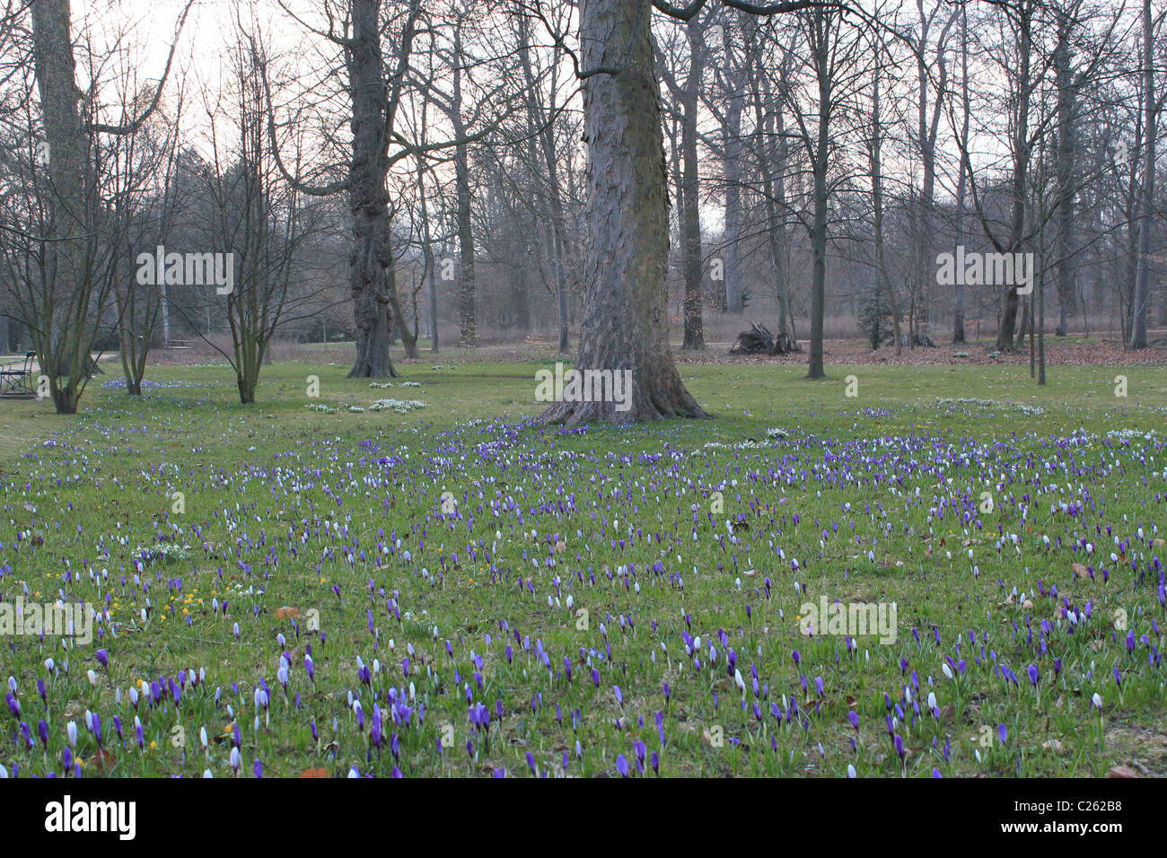 Frederiksberg park spring hi-res stock photography and images - Alamy