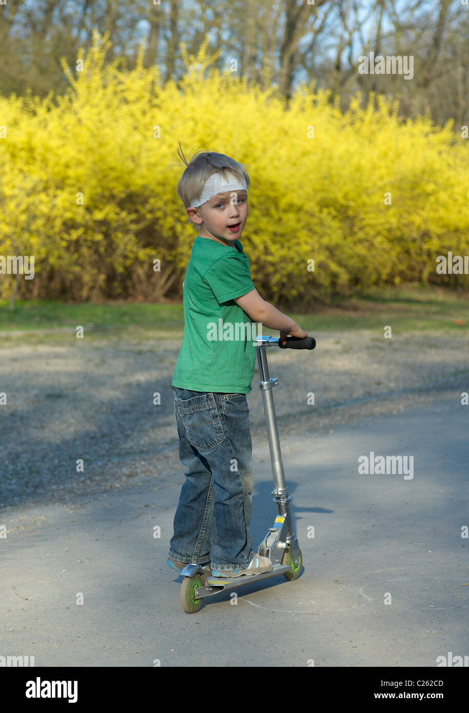 A young child blond boy on a scooter in park with injured head ...