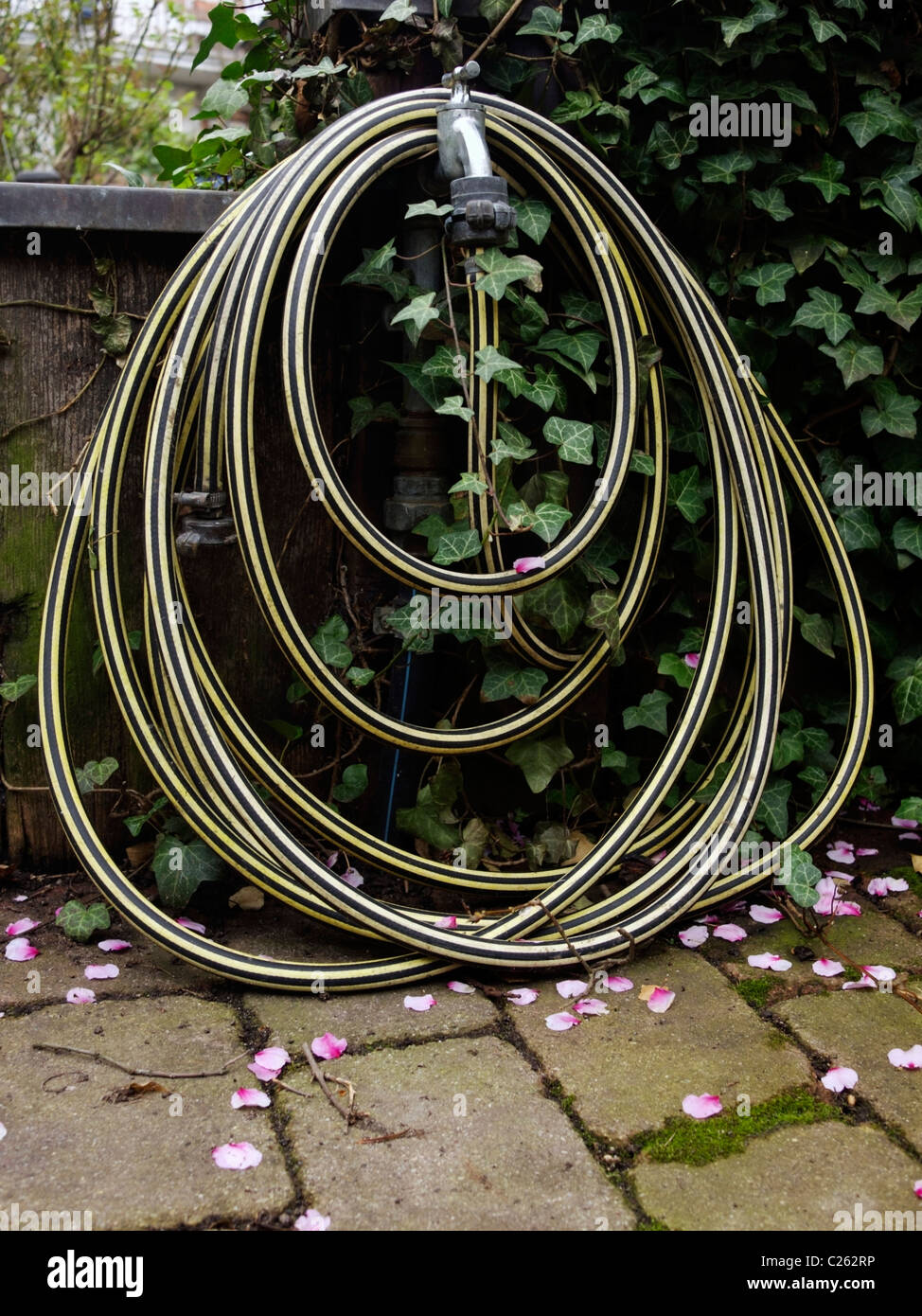 Garden hose hi-res stock photography and images - Alamy