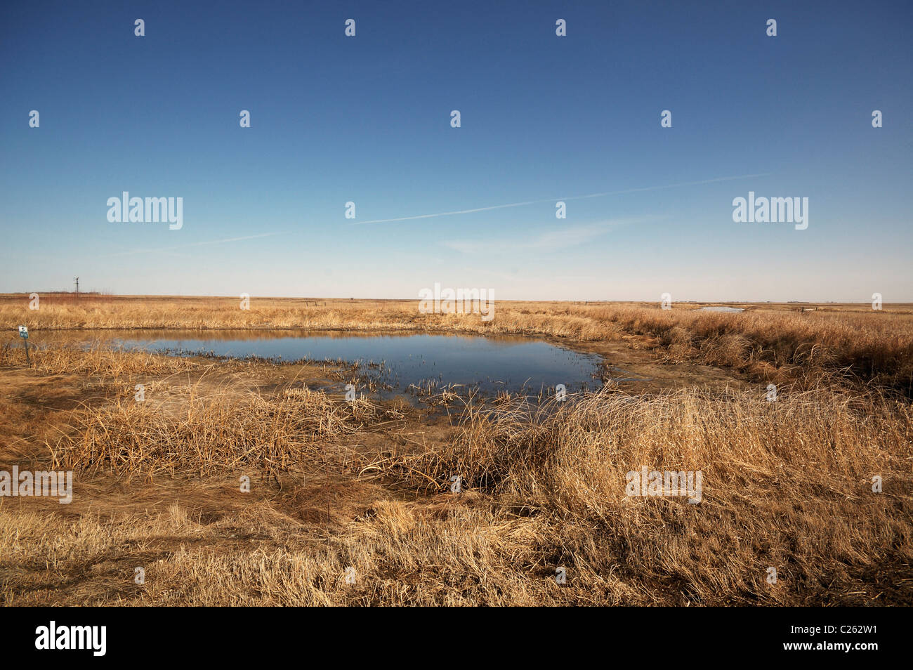 Marsh prairie hi-res stock photography and images - Alamy