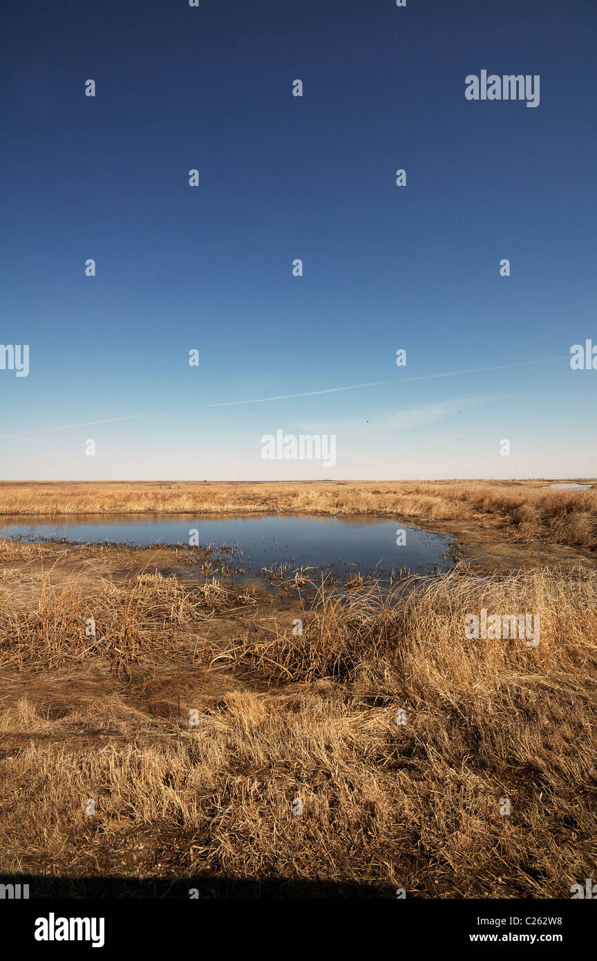 Prairie water hi-res stock photography and images - Alamy