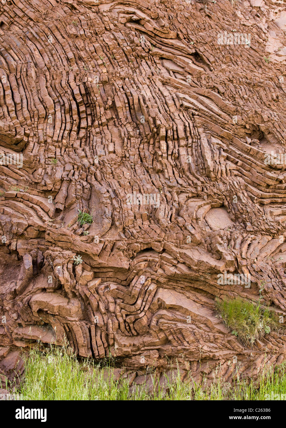 Exposed layers of folded, iron rich chert rock in Northern California ...