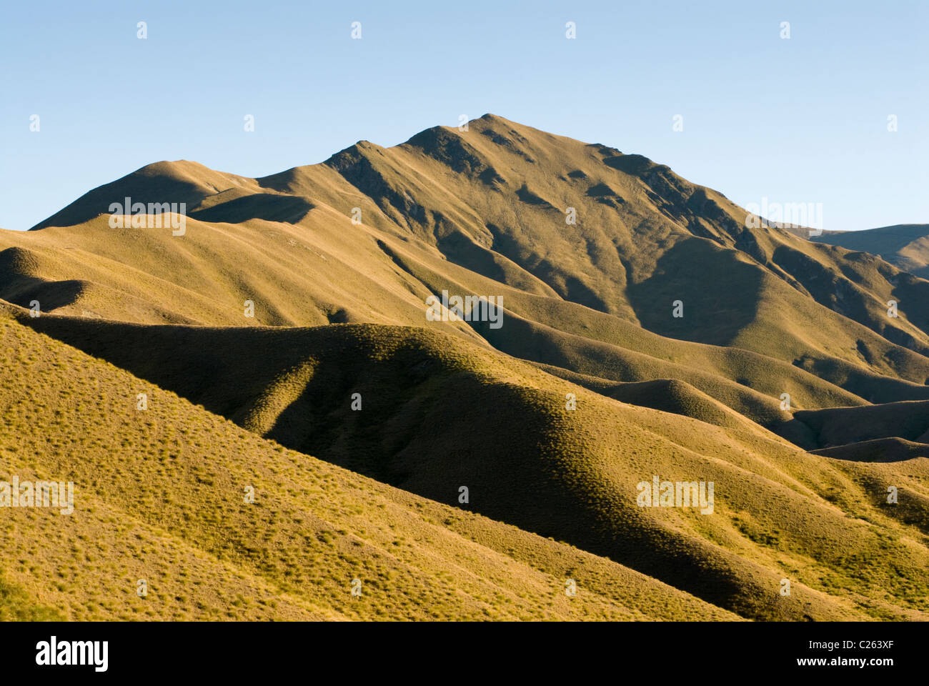 The hills surrounding Lindis Pass at dawn New Zealands MacKenzie ...