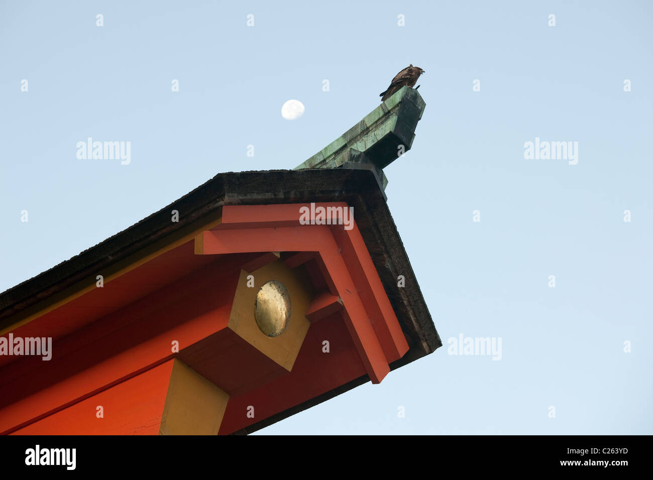 Bird perch shinto torii hi-res stock photography and images - Alamy