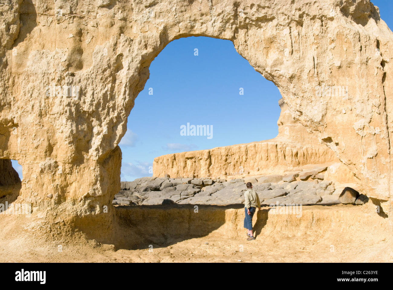 Visitor looks up at rock arch in sea cliffs at Dashing Rocks, Timaru ...