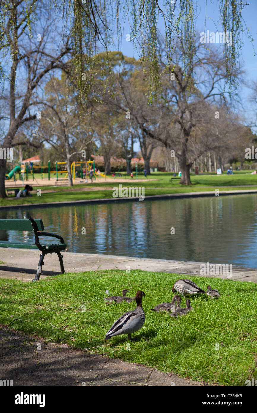 Rymill hi-res stock photography and images - Alamy