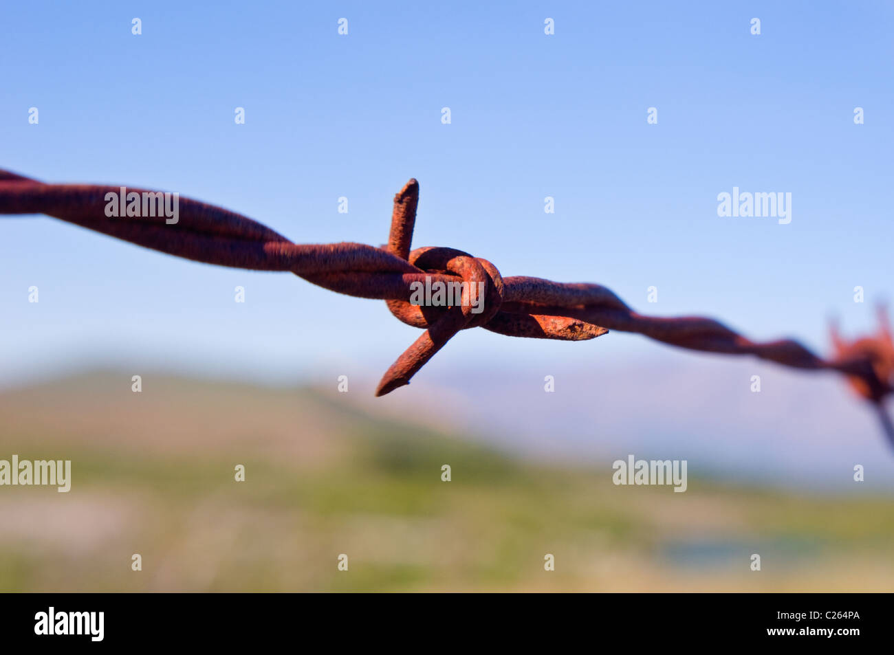 High tensile wire hi-res stock photography and images - Alamy