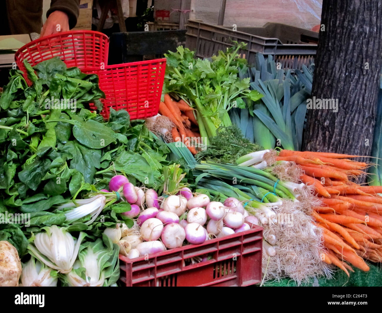Paris, France, Close up, Local French Fresh Vegetables on Display in ...