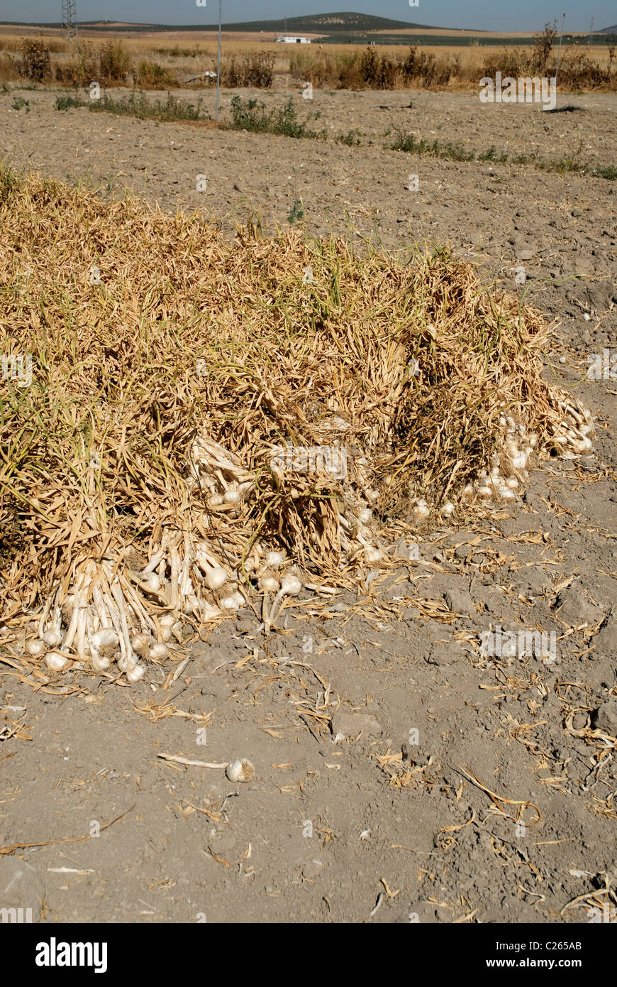 All heaped together hi-res stock photography and images - Alamy