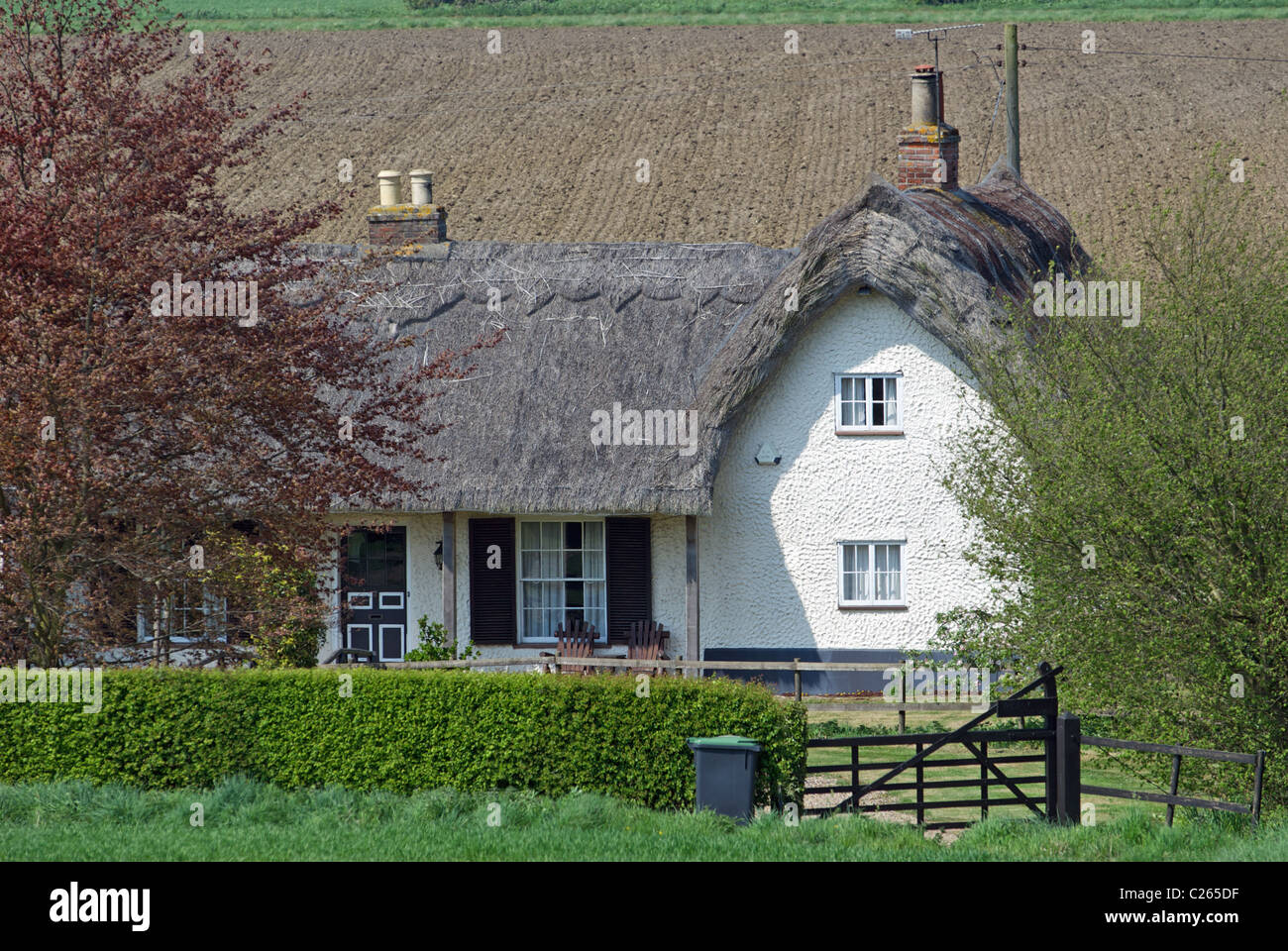 Suffolk thatched cottage hi-res stock photography and images - Alamy