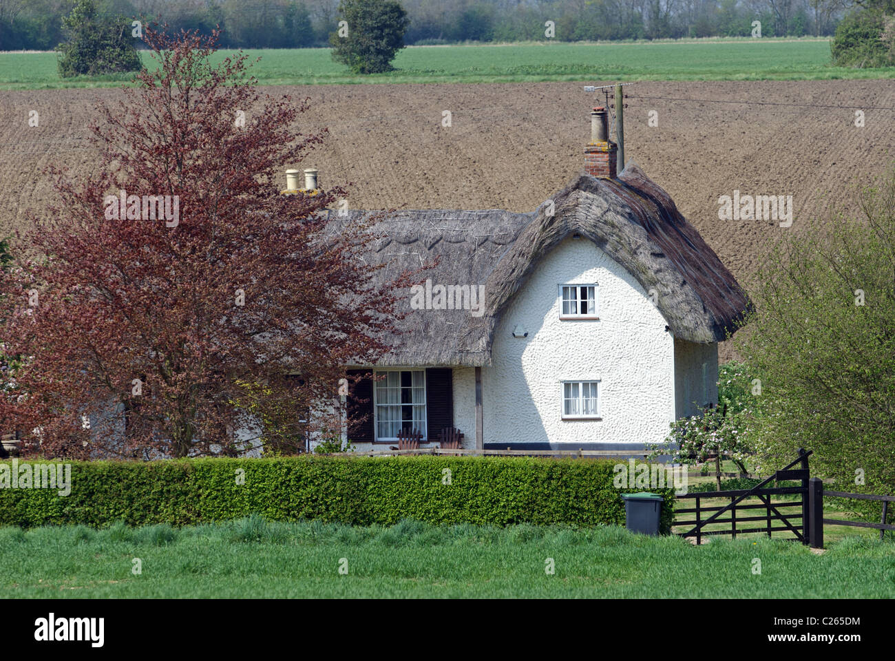 Suffolk thatched cottage hi-res stock photography and images - Alamy