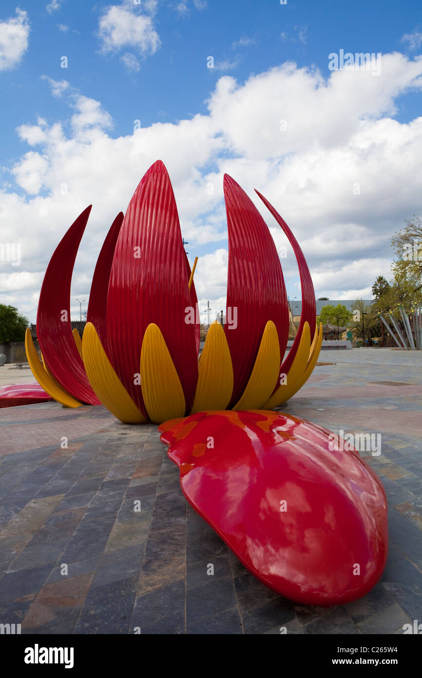 Chinese lotus flower hi-res stock photography and images - Alamy