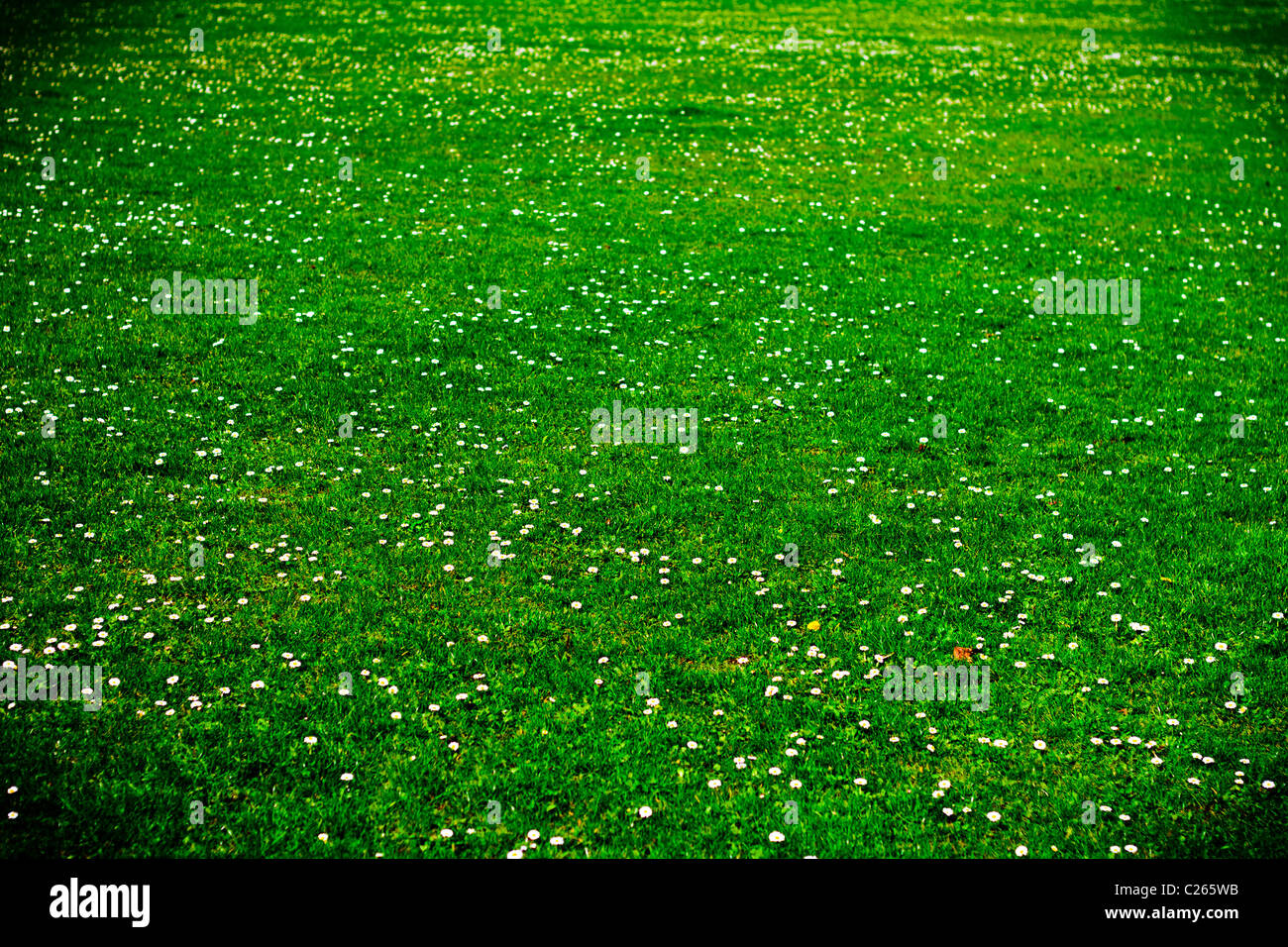 Vignette with nature hi-res stock photography and images - Alamy