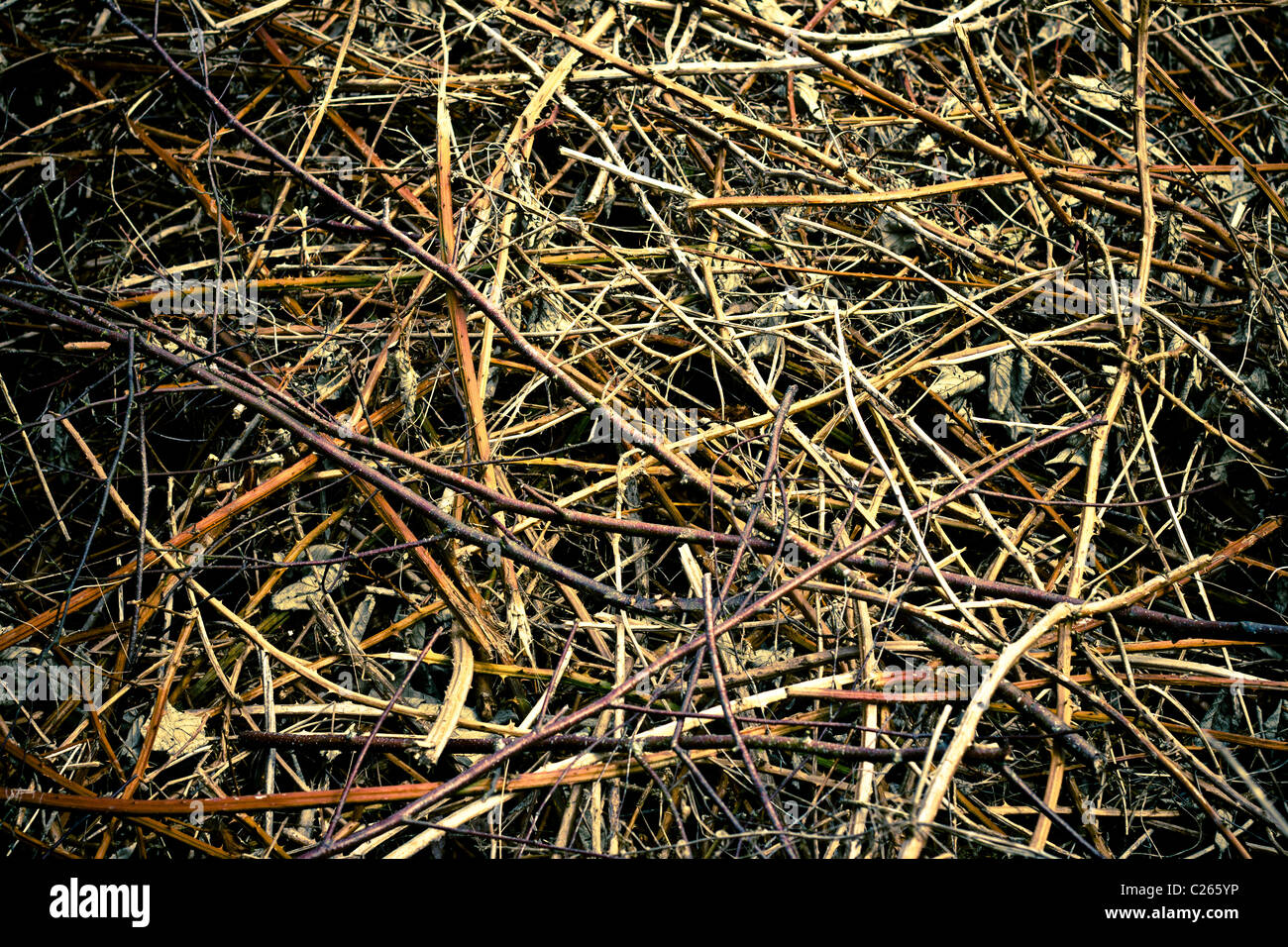 Pile of twigs and branches hi-res stock photography and images - Alamy
