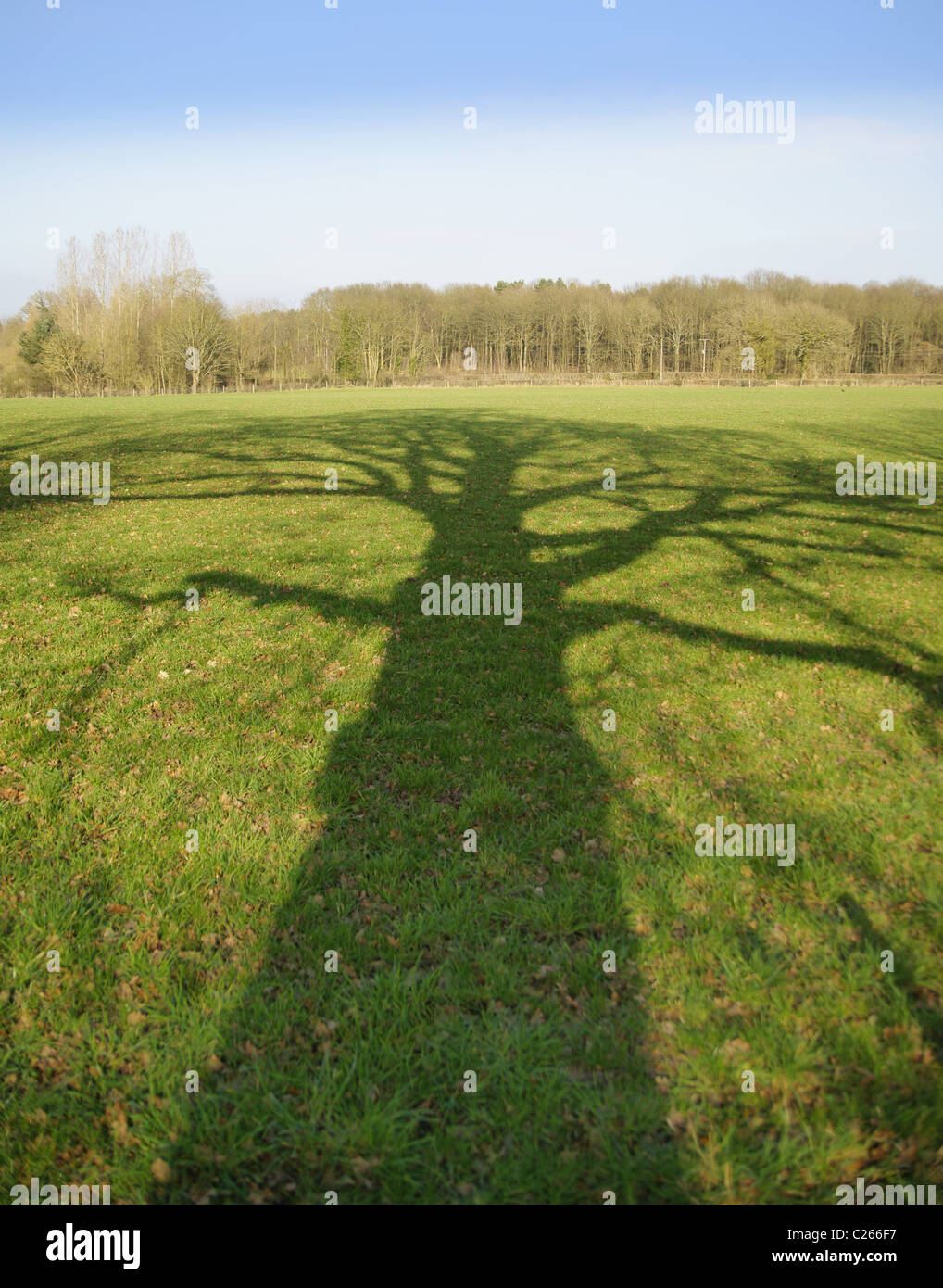 country estate fields farm farmland Stock Photo - Alamy