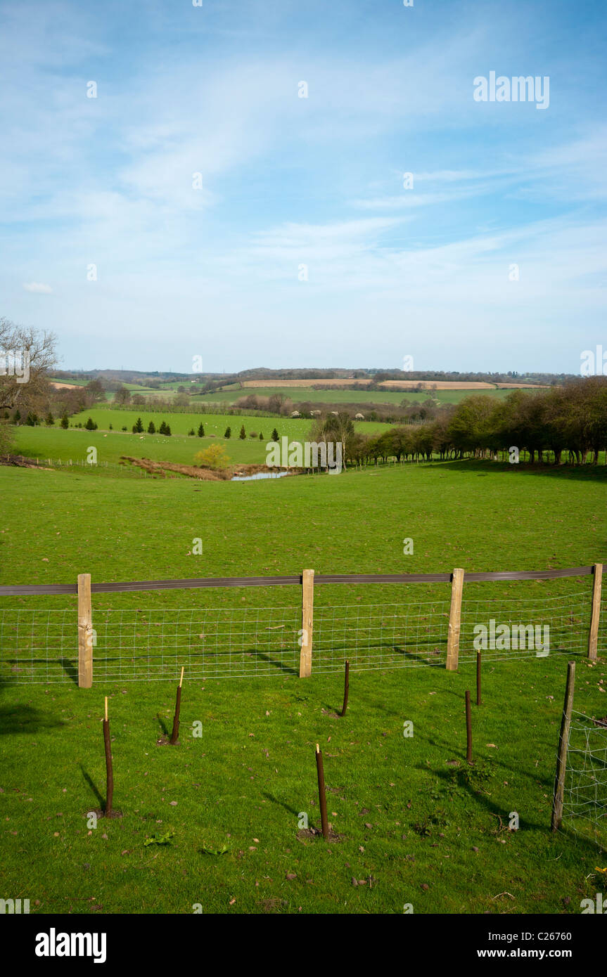 View Over The Sussex Countryside From Udimore England Stock Photo - Alamy