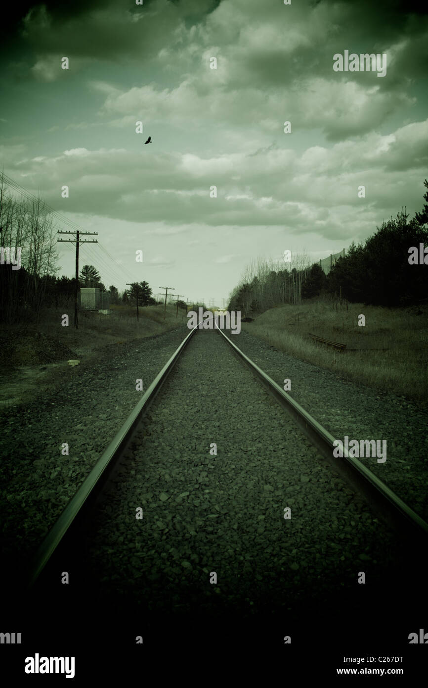 Train track on cloudy day, the image has been toned. One flying bird in ...