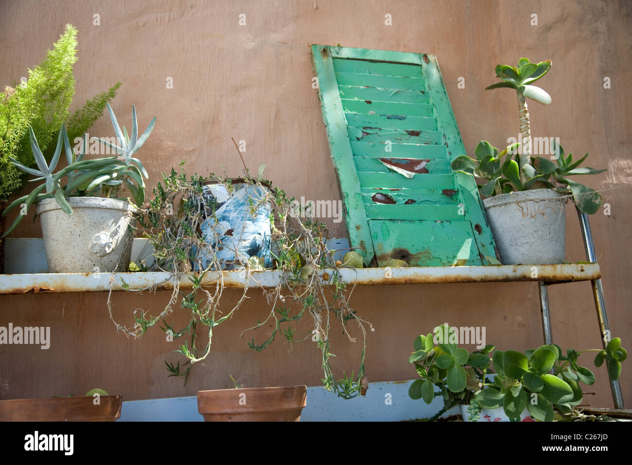 Objects on shelf in garden Stock Photo - Alamy