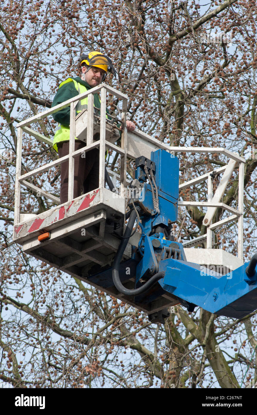 Portrait male seen hi-res stock photography and images - Alamy